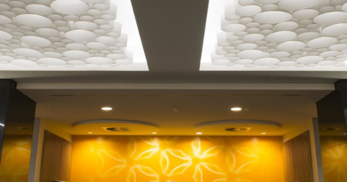 Shed Beginnings - Asona’s journey from backyard to business success ...